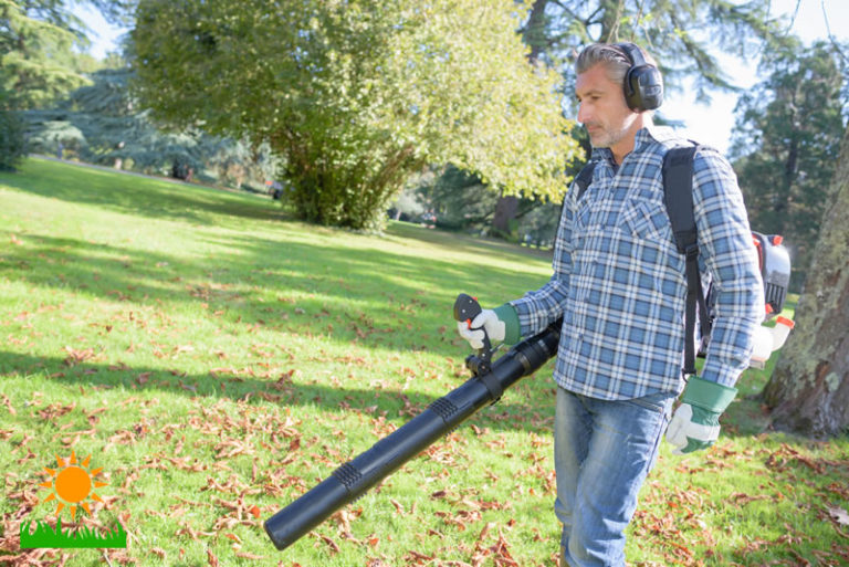 Leaf Blower How-To Maintain Guide and Safety Tips: Blast Leaves & More ...
